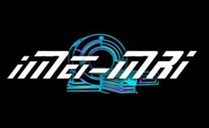 Completed projects | INRIM